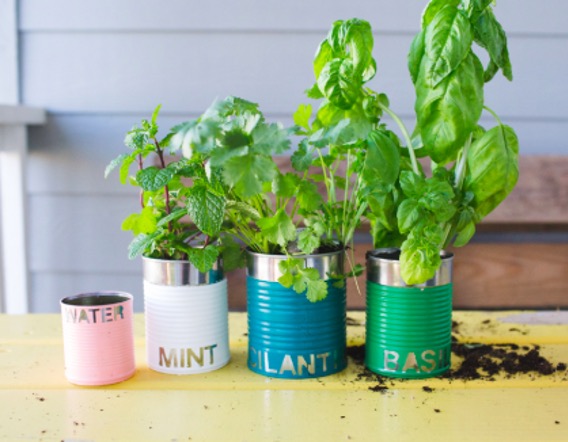 How to Plant a Seed - Edible Schoolyard - Related Rentals Blog