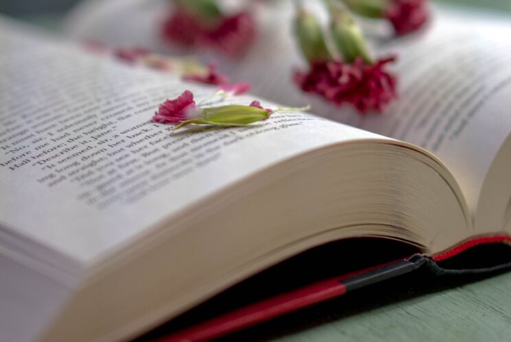 Five Fiery New Romance Reads for February - The Related Rentals Blog