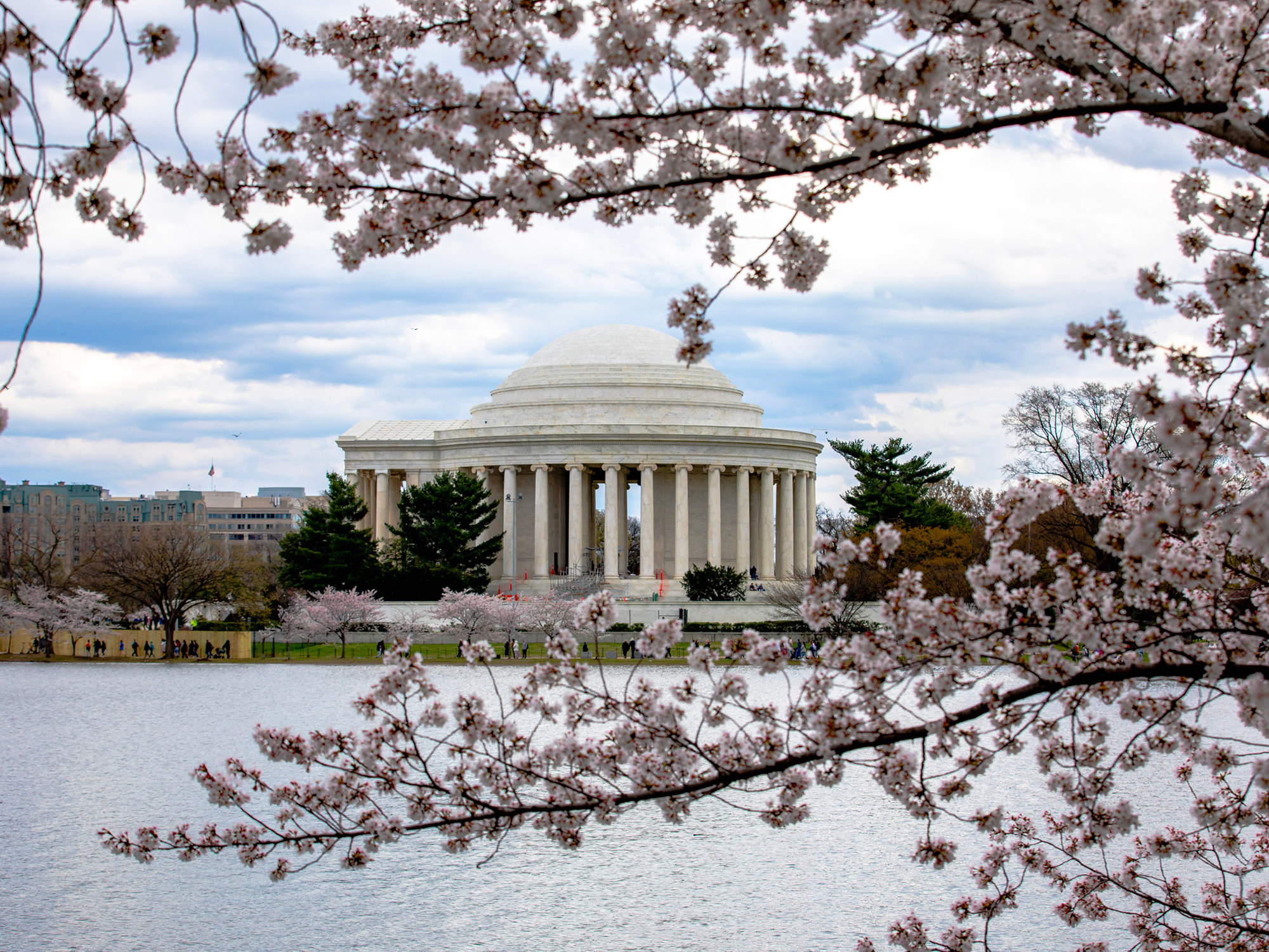 The Best Places to See Cherry Blossoms This Spring - The Related ...