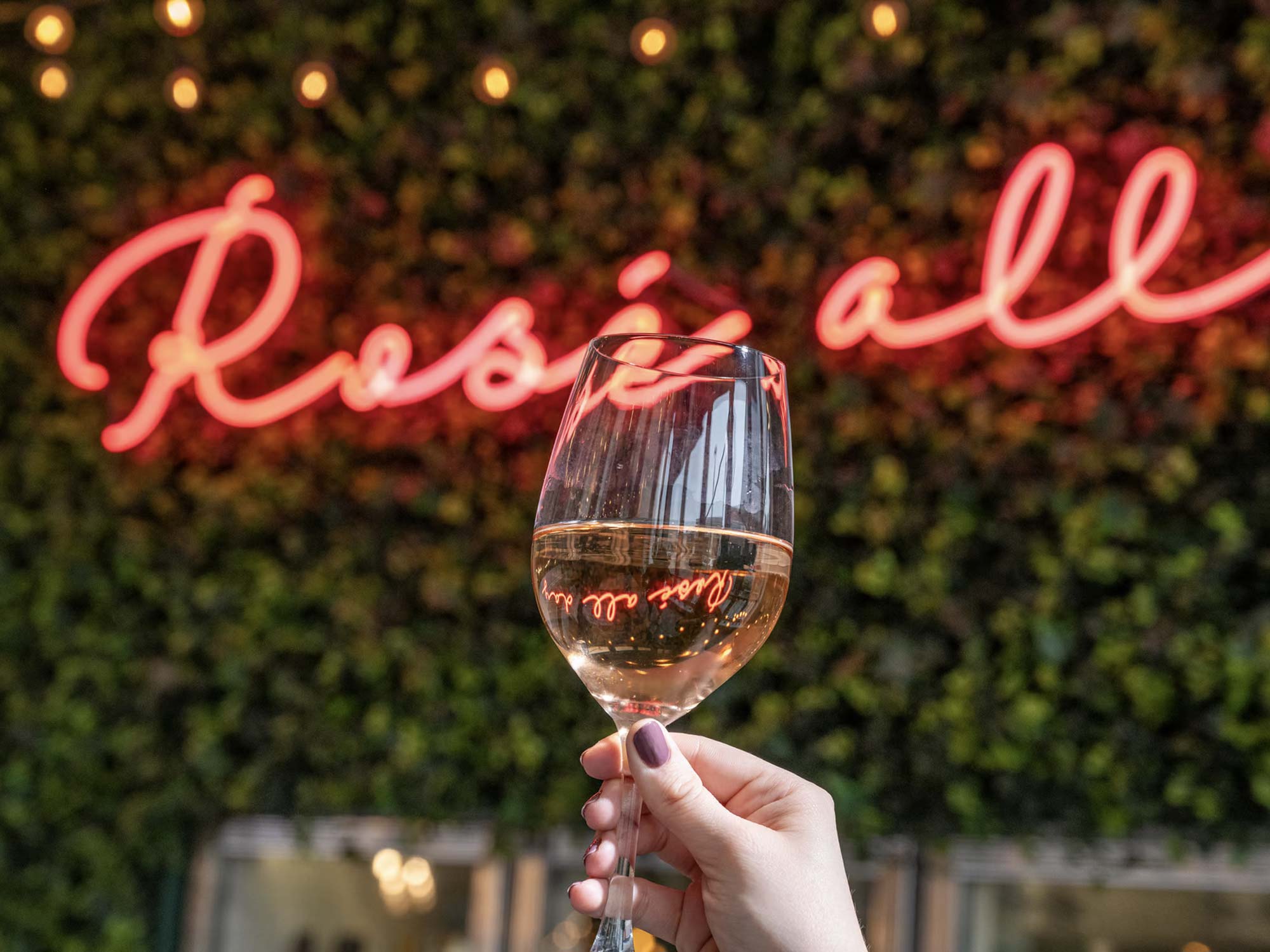 Six Summery Ways to Celebrate National Rosé Day - The Related Rentals Blog