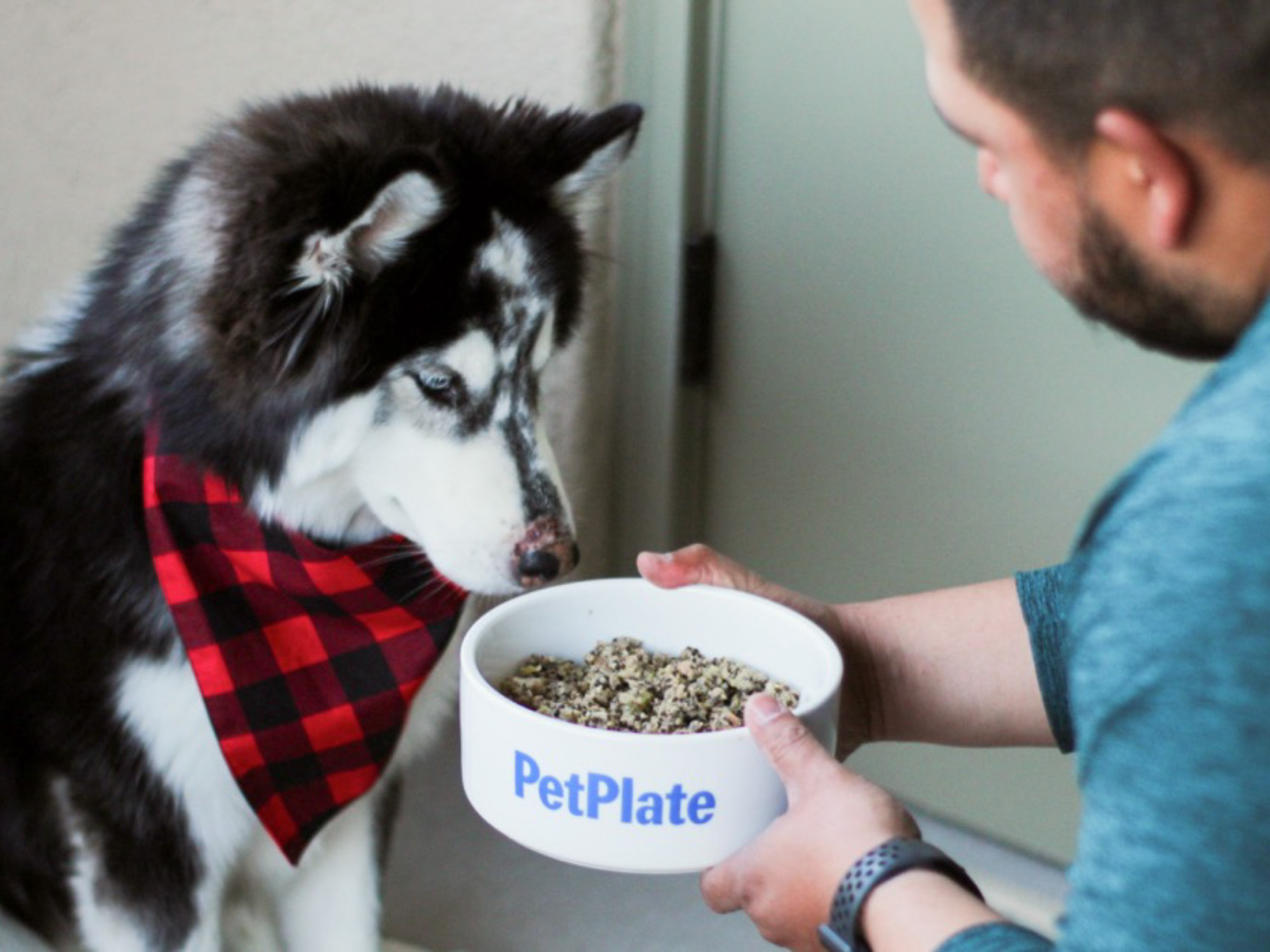 Human-Grade Dog Food: How to Feed Your Dog the Best - The Related Rentals Blog